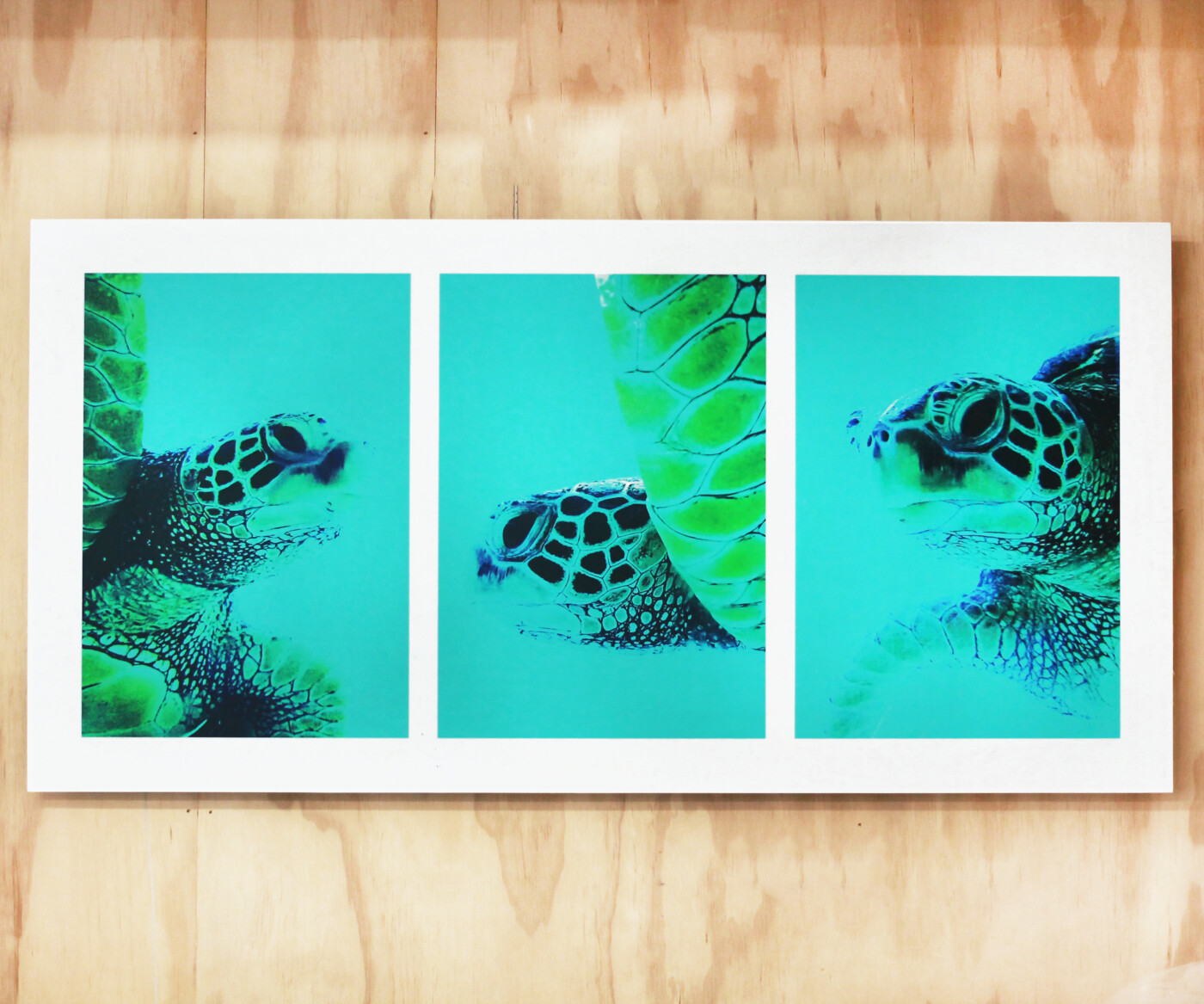 Slimline Block Mount - Smart & Sleek 4mm Wood Photoblocks